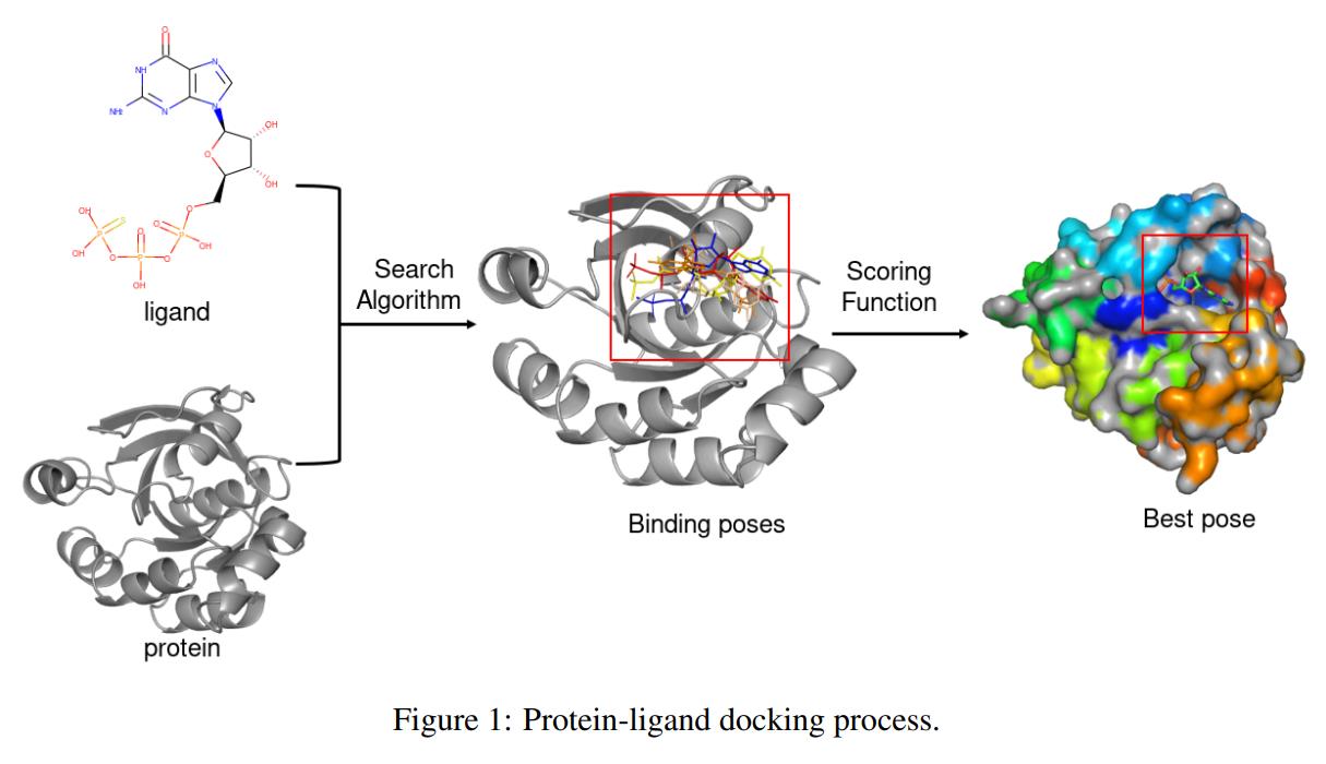 Neural Protein Ligand Docking: Dataset and Evaluation | TITLE